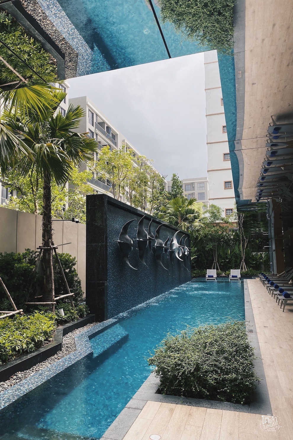 รีวิว: โตแล้วไปไหนก็ได้ | Maven Stylish Hotel Hua Hin